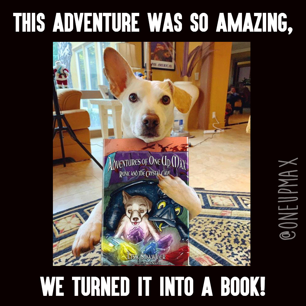 Max Memes | One Up Max | To know him is to love him.